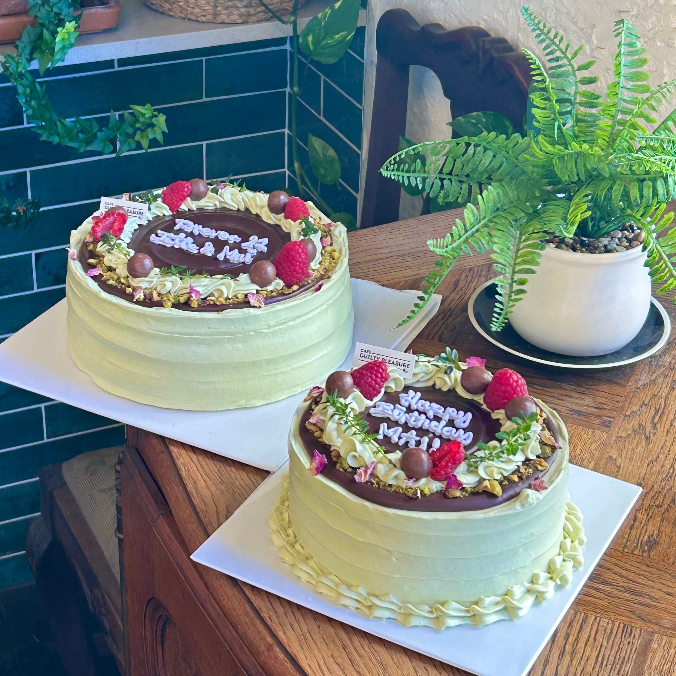 Signature Sponge Cakes | Cafe Guilty Pleasure
